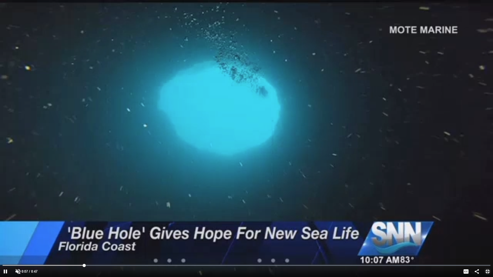 Mysterious Blue Sink Hole Found Off Florida Coast - The Suncoast News ...