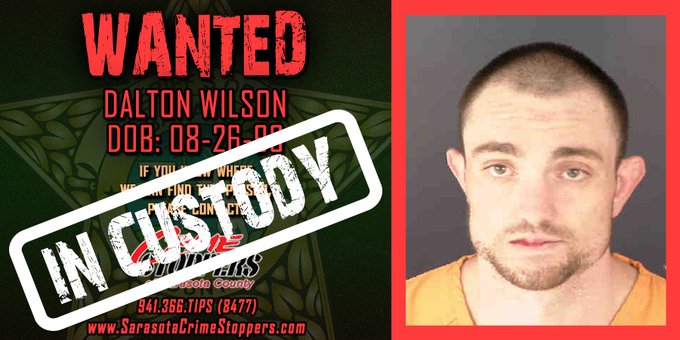 Former Fugitive Friday Star Dalton Wilson is in custody - The Suncoast ...