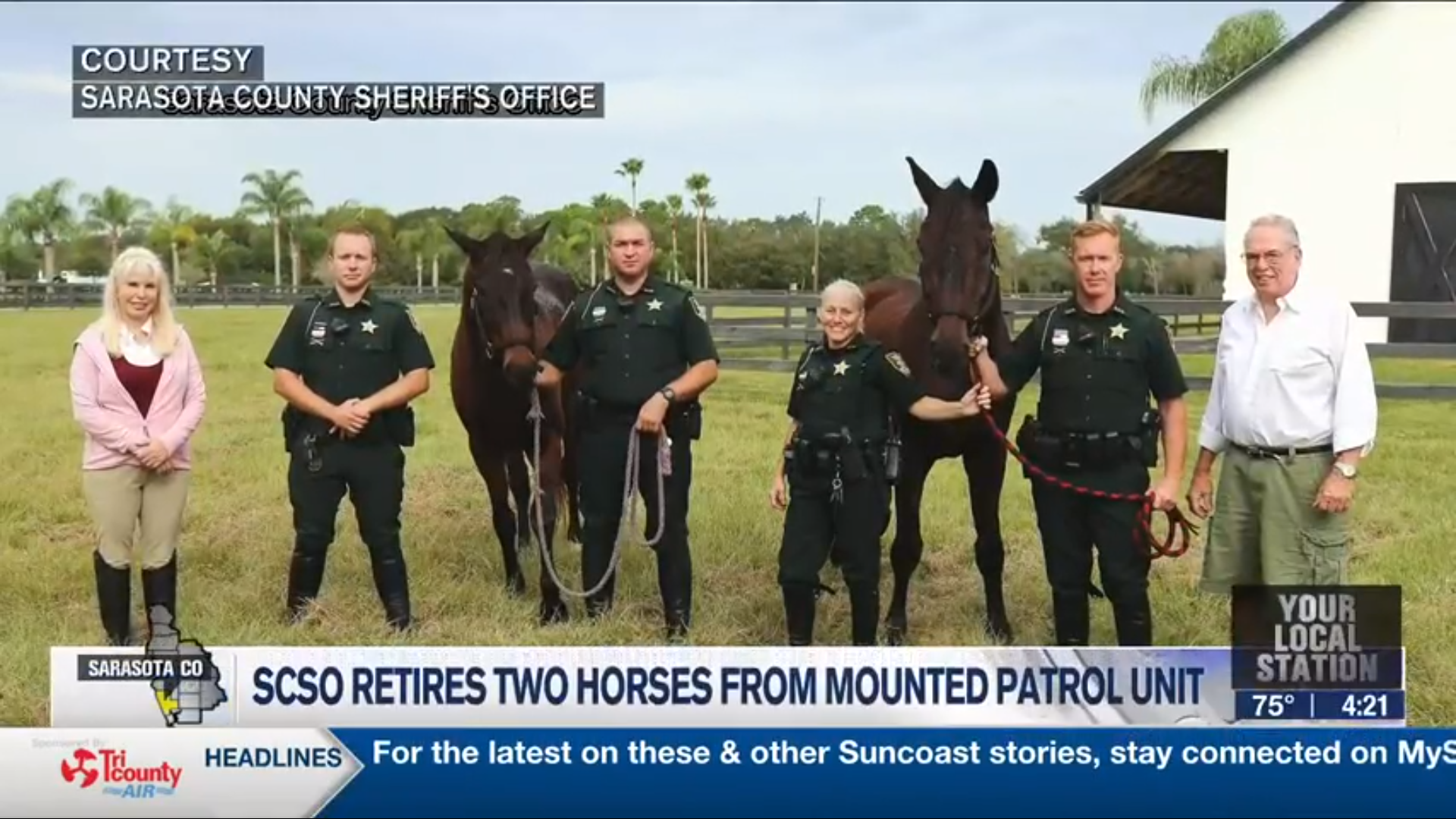 SCSO Retires Two Horses from Mounted Patrol Unit - The Suncoast News ...