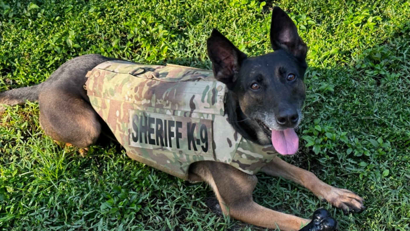 Charlotte County Sheriffs Office K9s Sparta And Apollo Receive