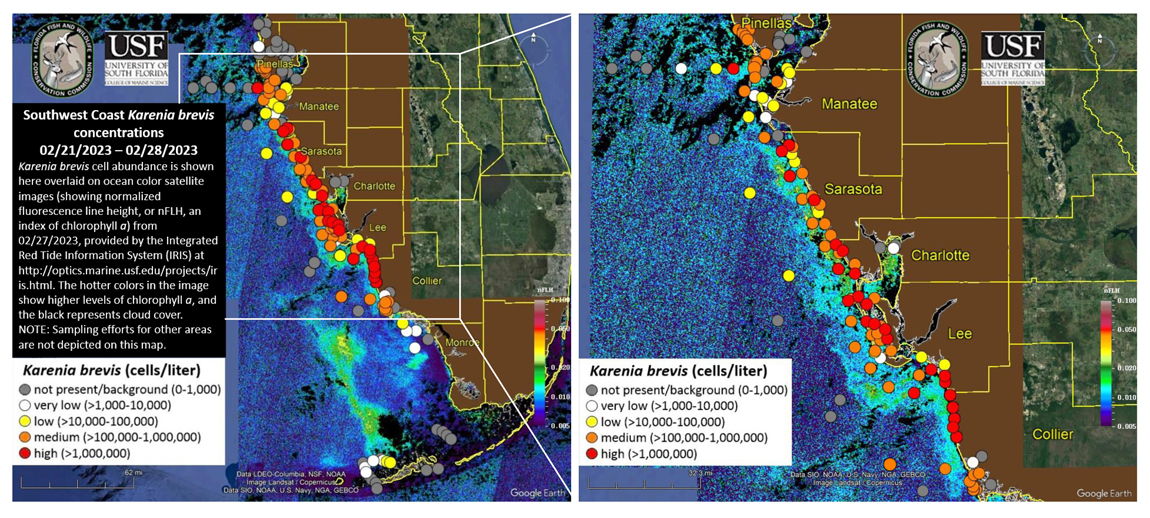Red Tide Current Status Report 3.1.23 - The Suncoast News & Scoop