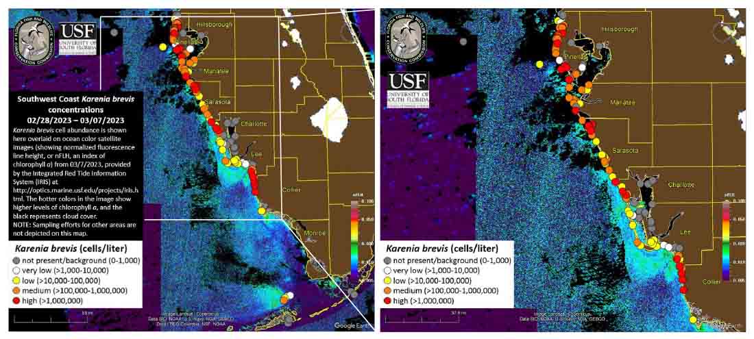 FWC Red Tide Current Status 3.8.23 - The Suncoast News & Scoop