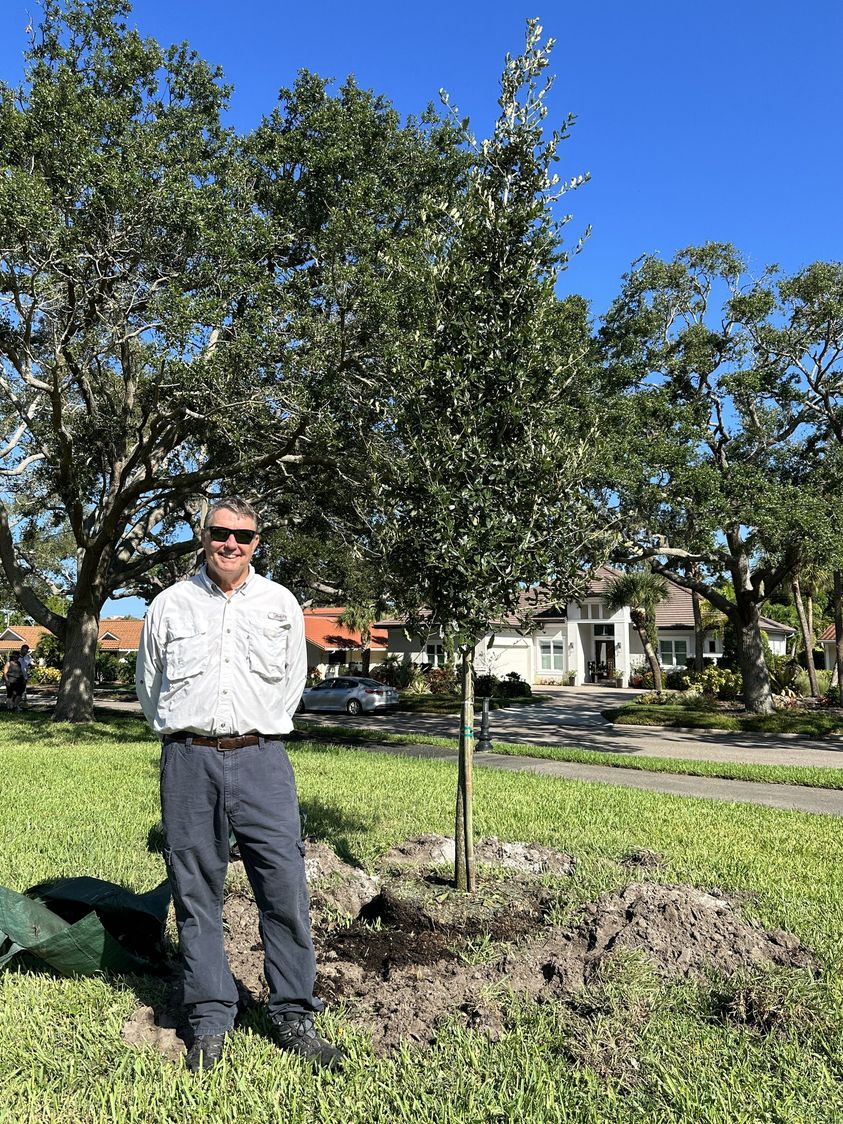 City of Venice launches Adopt-A-Tree program - The Suncoast News & Scoop
