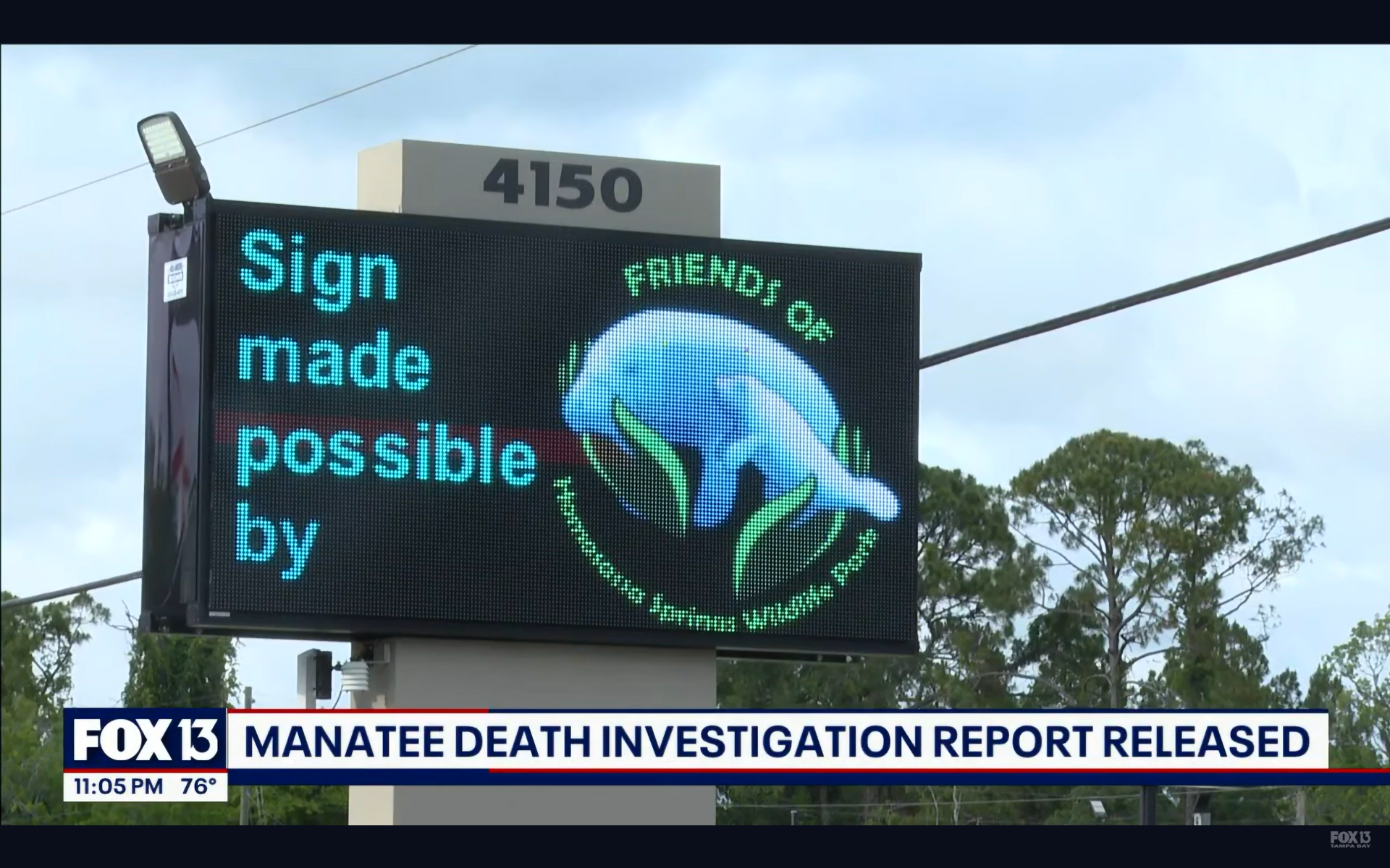 Florida manatee death investigation shows park staff left her ...